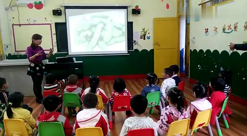 博雅幼儿园音乐活动《买菜》