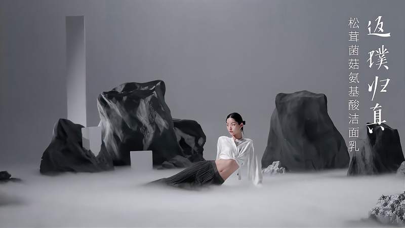 NO.3东方美学造景「返璞归真|美术案例分享