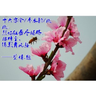 天行健46471374 