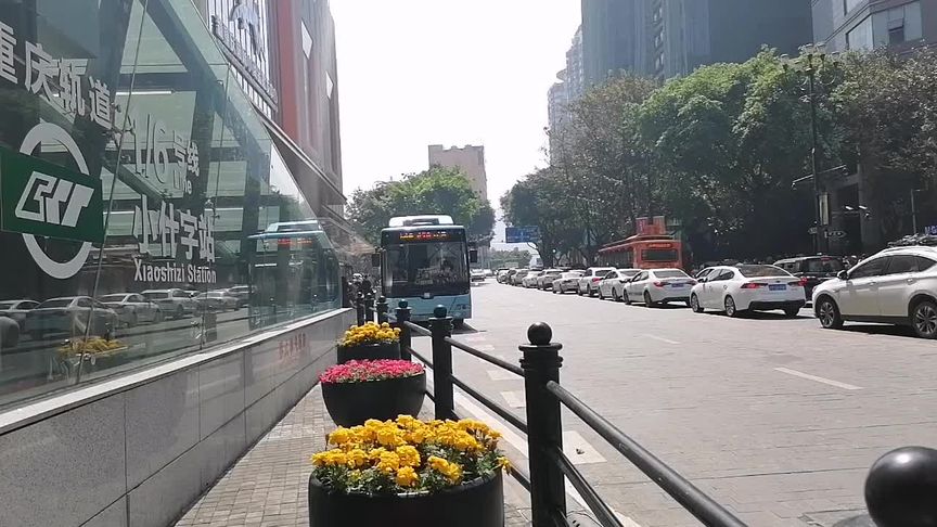 法定节假日不写字(现在开始)