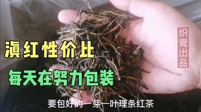 几百吨的滇红茶,销往哪儿?具有慧眼的茶友都明白的高性价比滇红