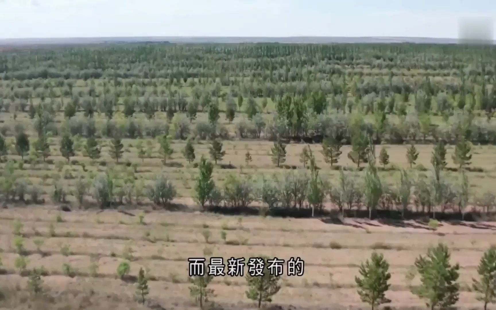 国家林业和草原局公布国内去年造林383万公顷