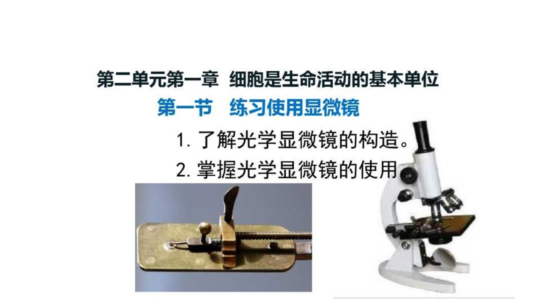 第二单元第一节 认识显微镜