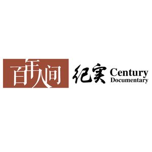 百年人间纪实 
