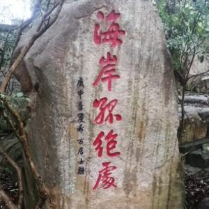 记录星星小生活 