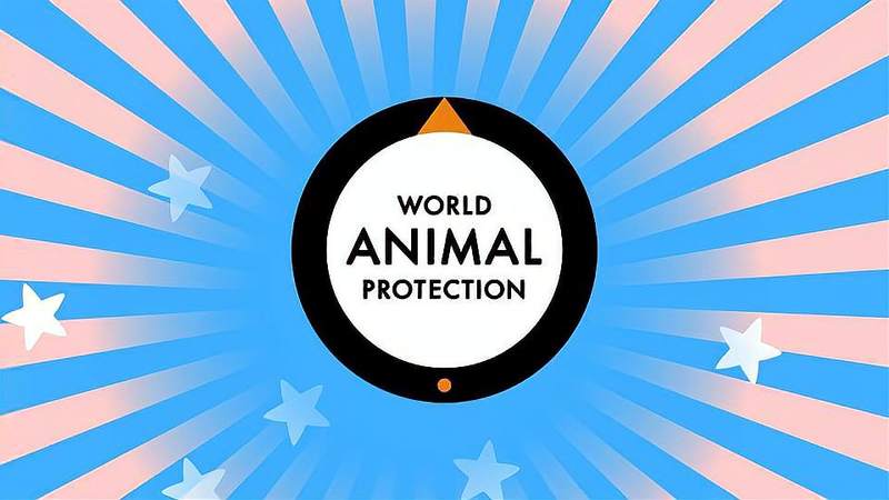 世界动物保护协会:独立的动物保护组织