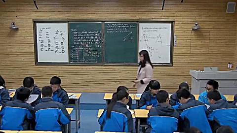 10.北师大版初中数学九年级上册《2平行线分线段成比例》陕西省县级...