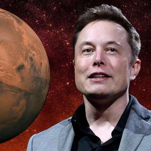 马斯克X实时翻译 