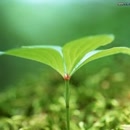 海阔天空嘟噜噜噜 