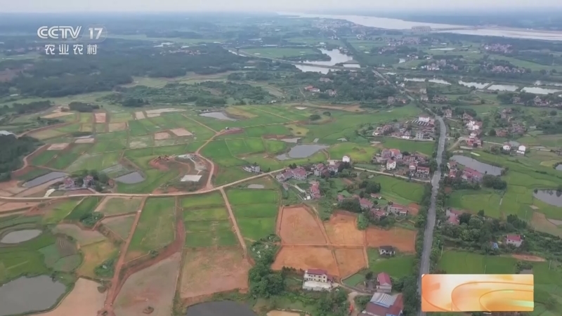 [三农长短说]短速览 2022年以来全国立案侦办非法占用农用地刑事案件...