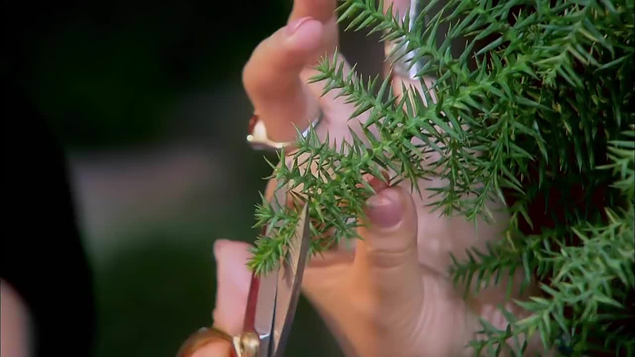 新还珠格格:欣荣这招真高,竟以这种方式,获得愉妃的青睐