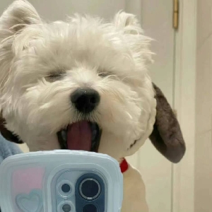 方方想要一夜暴富 