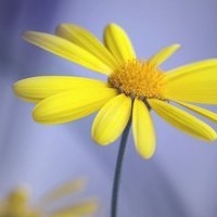 时代万花筒 