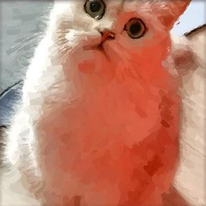 皮皮皮奶盖 