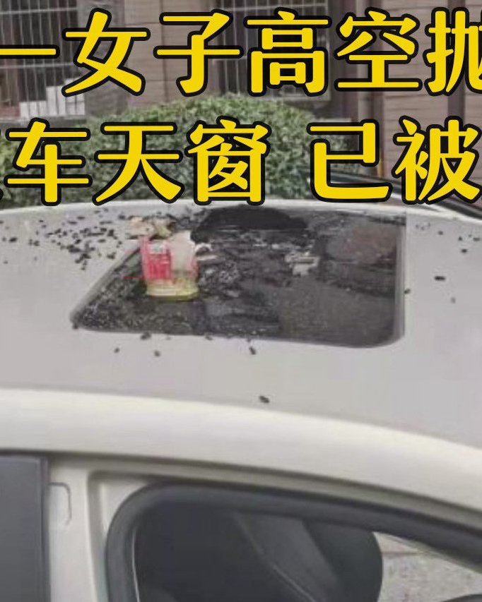 【上海一大妈图省事高空抛玻璃瓶被刑拘】近日,上海市民赵先生驾车...