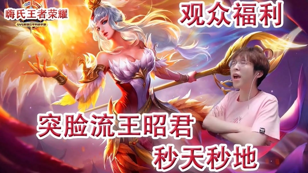 嗨氏王者荣耀:观众福利突脸流王昭君秒天秒地