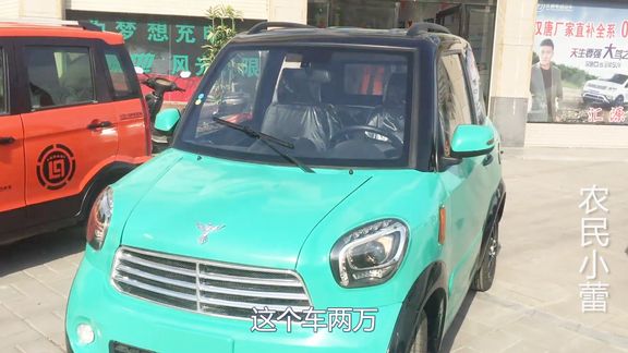 农村媳妇去买电车,跟小汽车一样的电车要两万块钱,到底值不值?