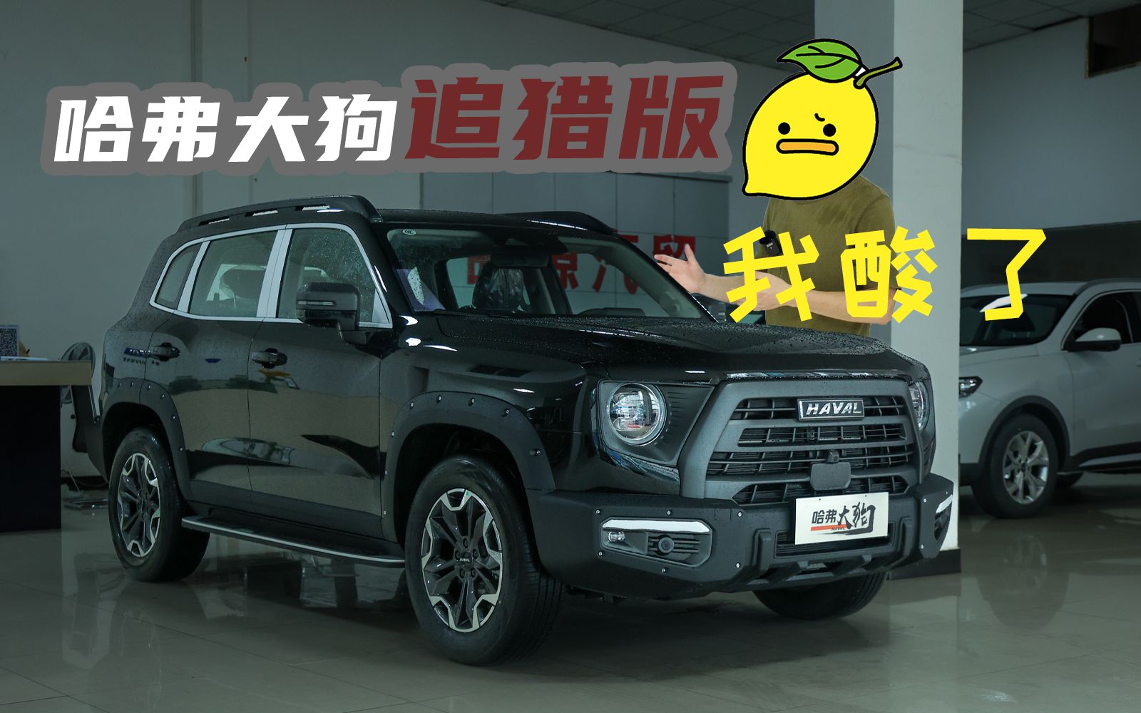 现款车主带你看哈弗大狗追猎版