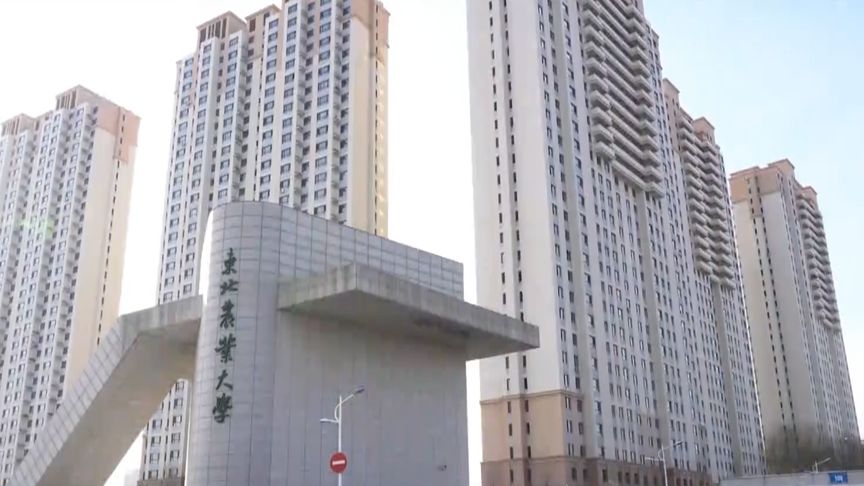 黑龙江:禁毒宣传活动进校园,提升学生禁毒意识