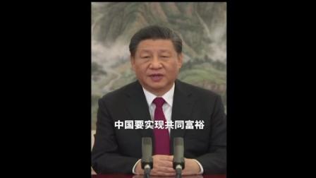 14 如何实现共同富裕