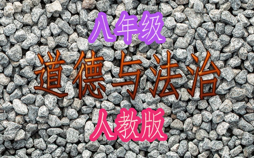 学习课程 名师讲解 八年级 道德与法治 1-2 在社会中成长