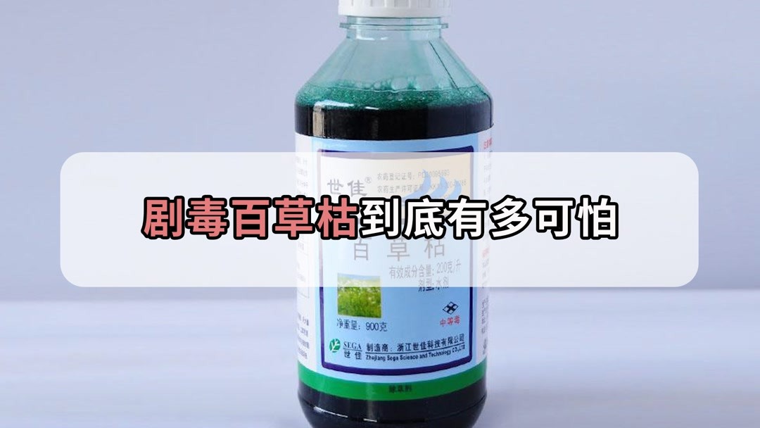 给你足够时间后悔,却不给你活命机会的百草枯,到底毒性有多大?