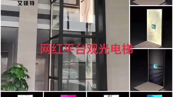 网红平台梯,曳引钢带款#家用电梯 #别墅电梯 #网红电梯