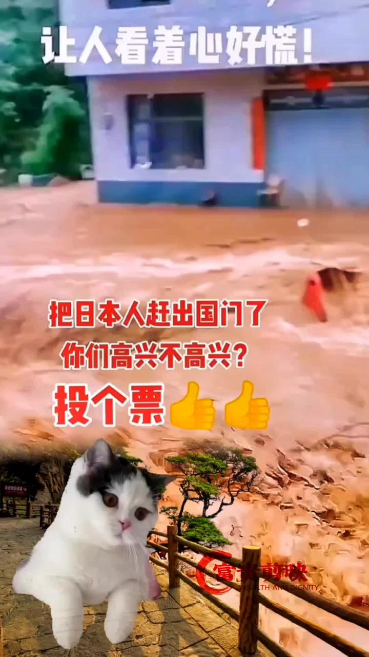 #支持投票߇�߇�ߑ� #抖音小助手