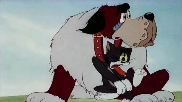 猫和老鼠:汤姆杰瑞在狗狗收容所中斗智斗勇,展开爆笑斗争