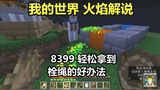 我的世界 火焰解说 8399 轻松拿到栓绳的好办法