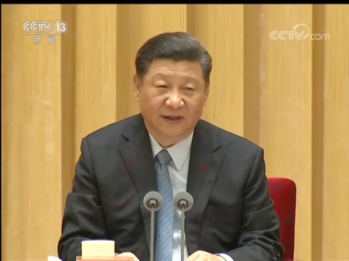 [朝闻天下]习近平在全国公安工作会议上强调 坚持政治建警改革强警...