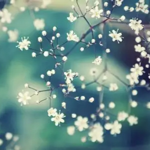 山子纪实 