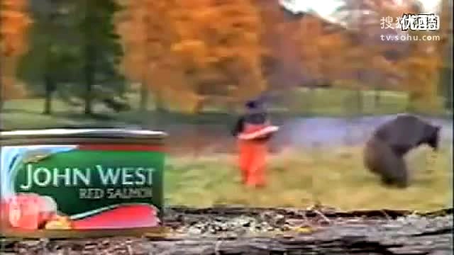 搞笑视频狗的表演 经典视频 搞笑短.