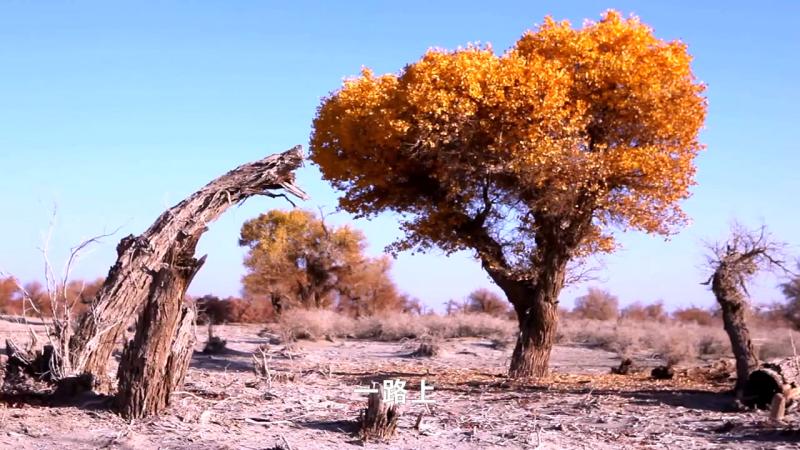 ...他们与时代脉搏的每一次跳动共振,他们心中初心如磐、使命在肩,用...