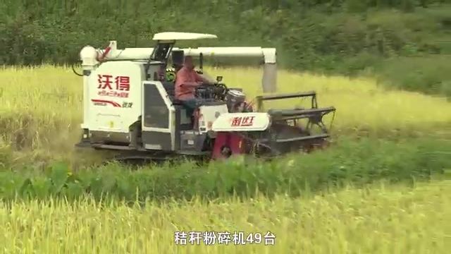 博白水稻生产全程机械化荣获全国示范县!ߑ�ߑ�ߑ