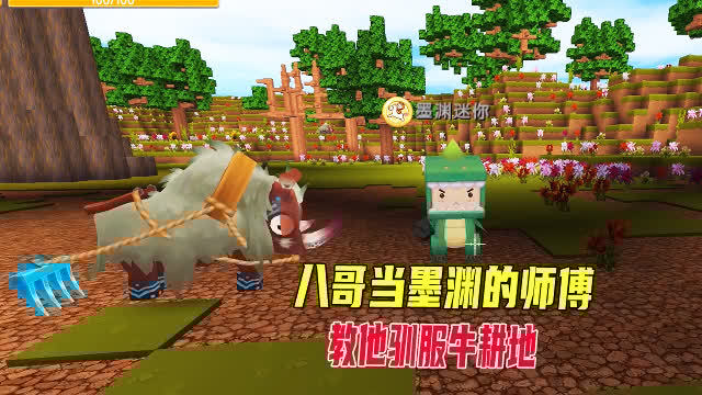 生存31:八哥当一回墨渊的师傅,教他怎样驯服牛耕地