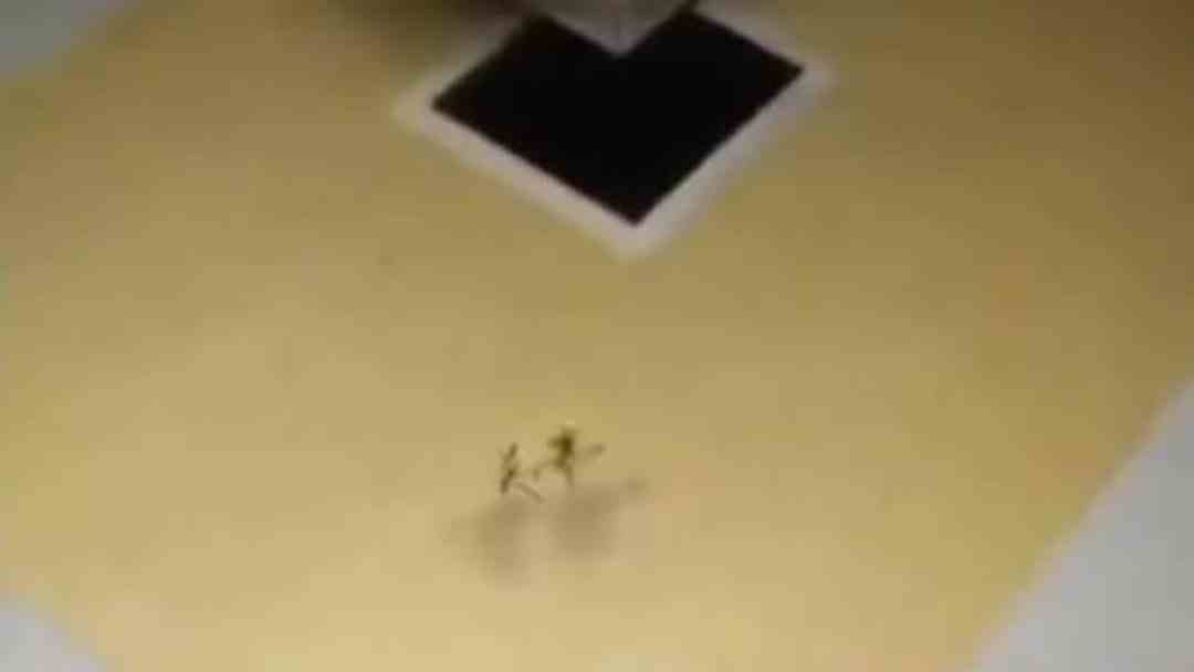 裸眼3D立体画简易小方块教程