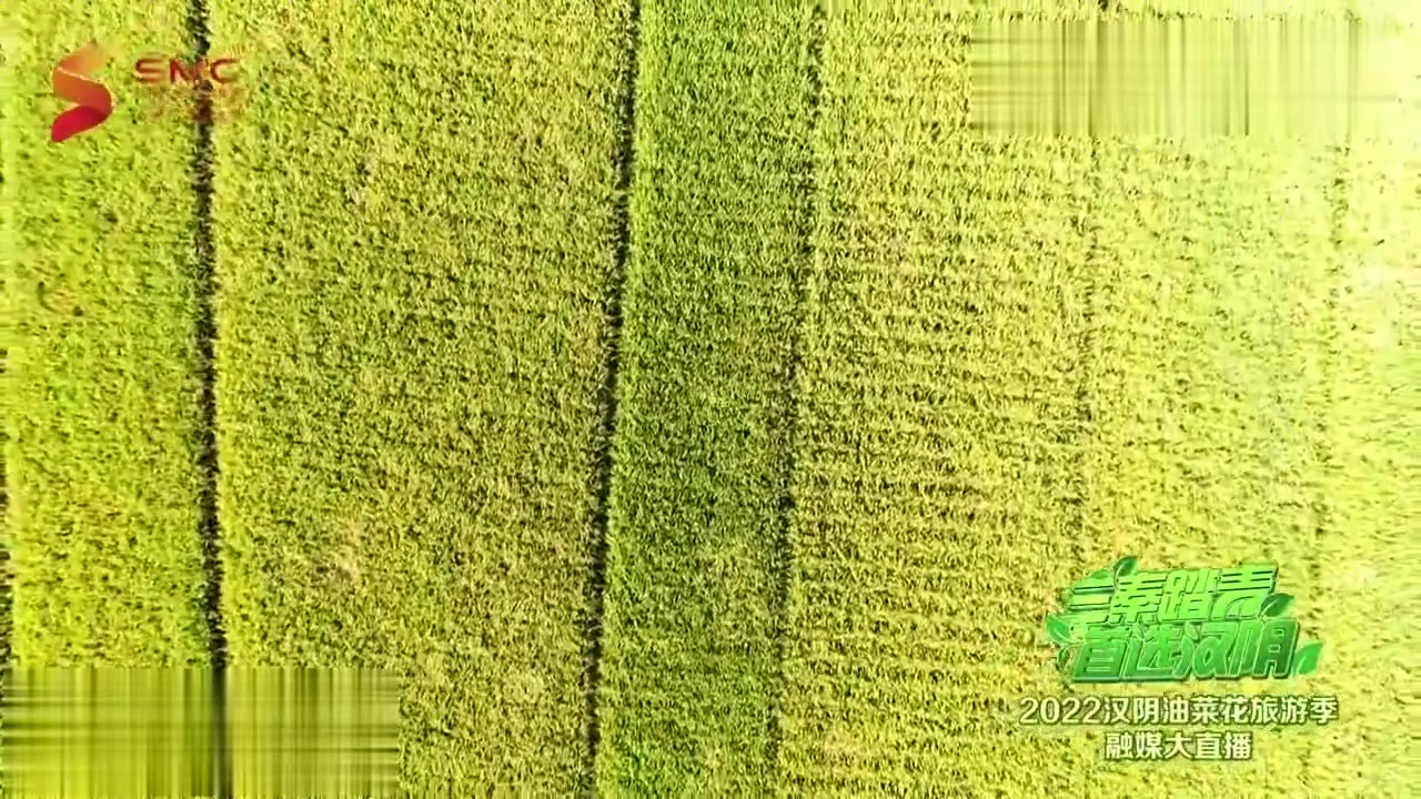 #三秦踏青首选汉阴#|富硒美食品起来!