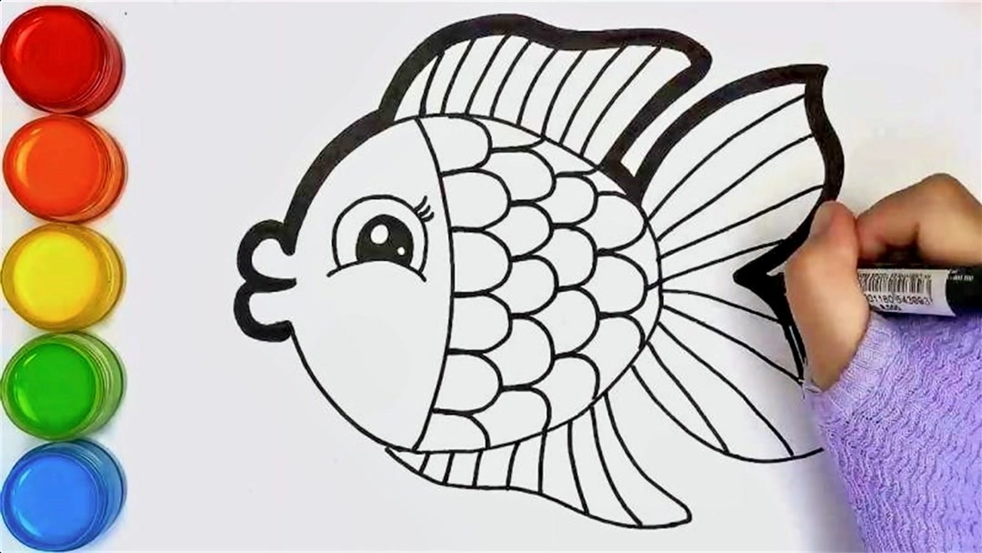 简笔画:教你怎么画一条鱼,边画边学习颜色