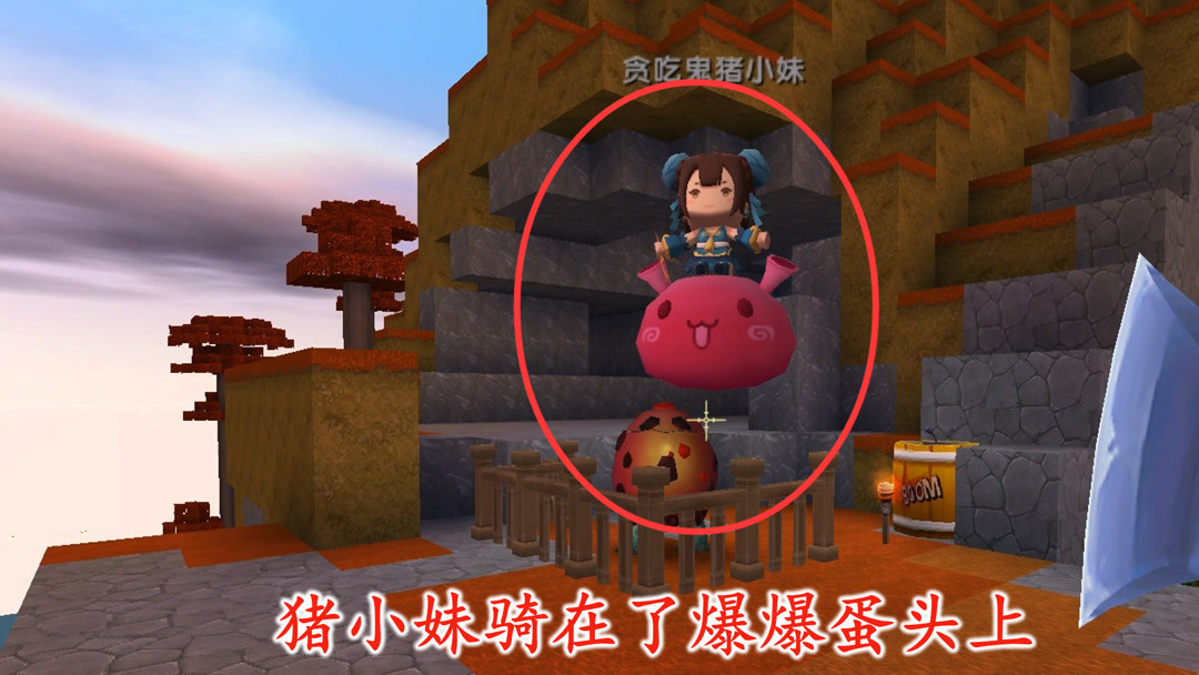 迷你世界联机37:猪小妹这胆子也太大了,竟然骑在了爆爆蛋的头上
