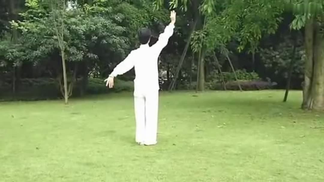 中华通络操慢动作演练 《视频》