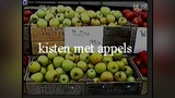 荷兰语初级 单元六 课程 4 使用量词;副,双,卷,袋等