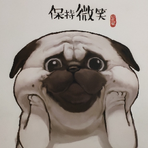 买不起巧影会员的UP主 