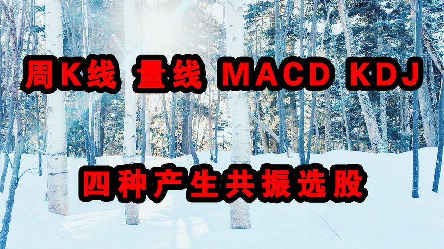 周K线量线MACD-KDJ-四种产生共振选股