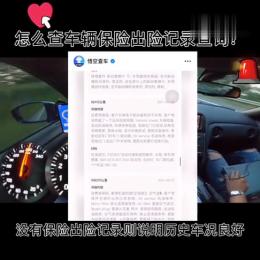 怎么查车辆保险出险记录查询?