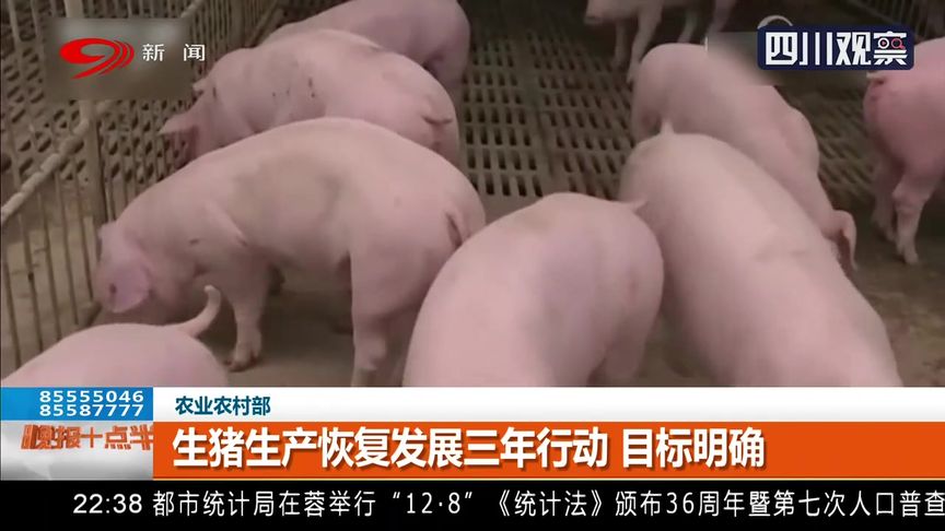 农业农村部:生猪生产恢复发展三年行动,目标明确!