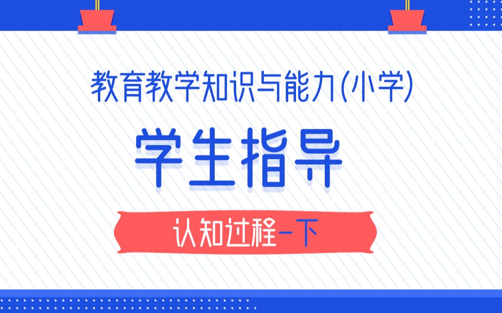 教育教学知识与能力 学生指导 认知过程下