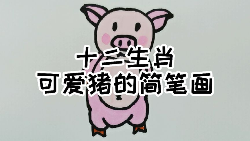 十二生肖,猪的简单画法