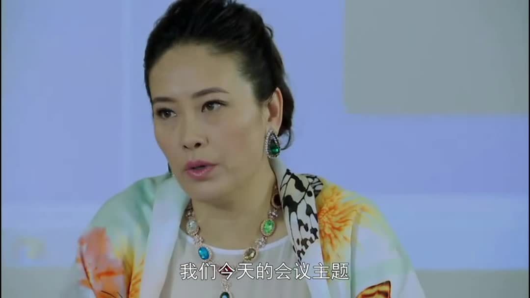 美妙的奇遇:今天的会议主题是研究新一季度的工作,怎料股东们却在逼宫