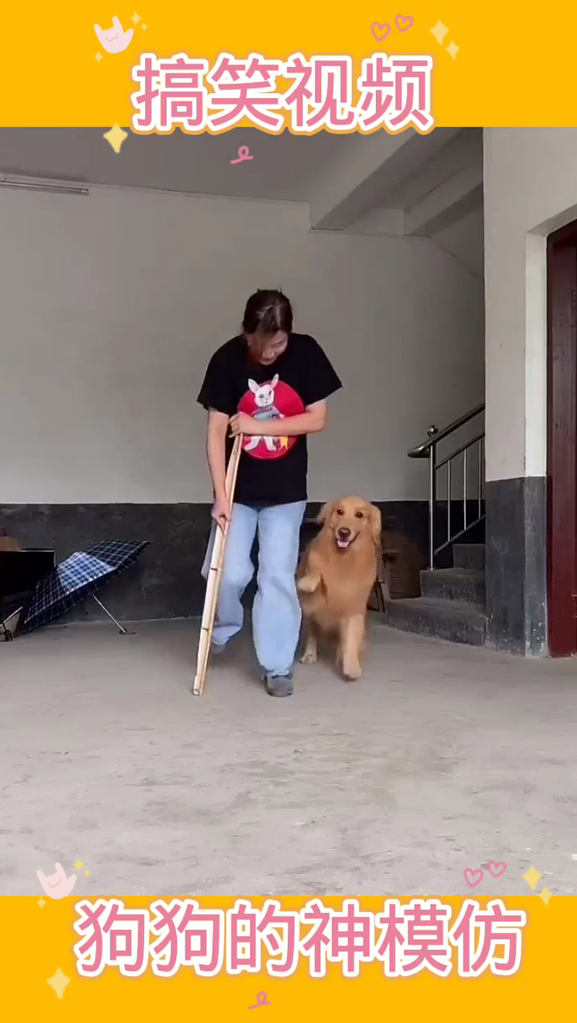"搞笑动物 "搞笑萌宠 ,狗狗的模仿力不得不佩服